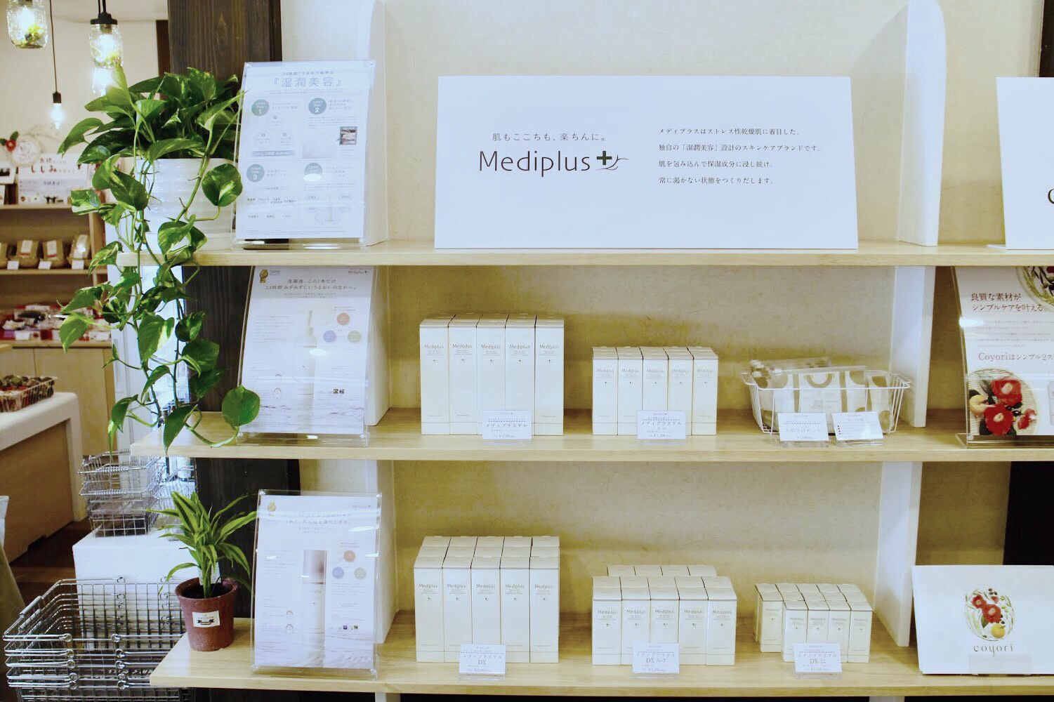 All About Mediplus, Japan's Best-Kept Skincare Secret | Wonect.Life